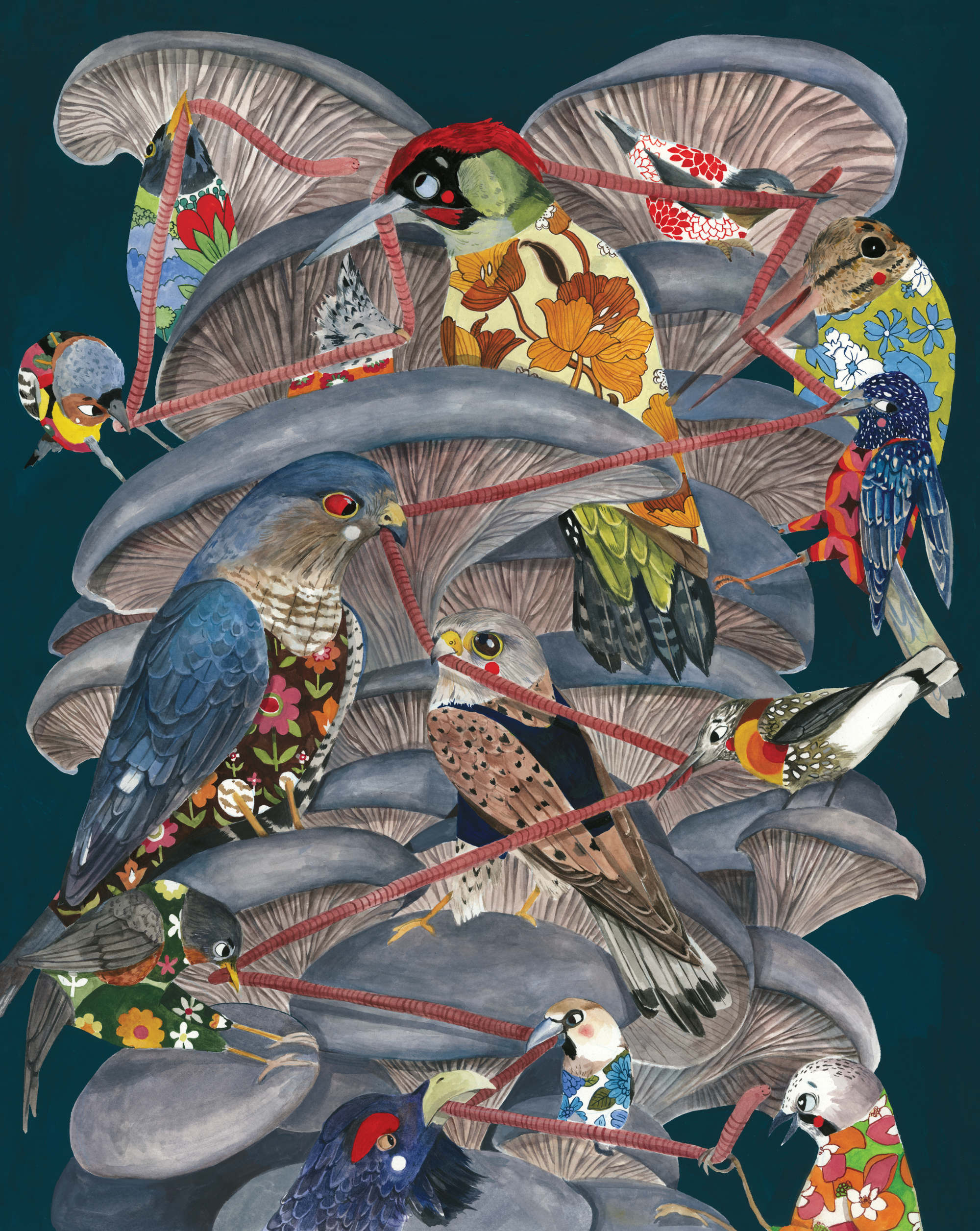 forrest-birds_2000_c.jpg (2000×2513)图片_绘画_插画图片素材-花瓣网